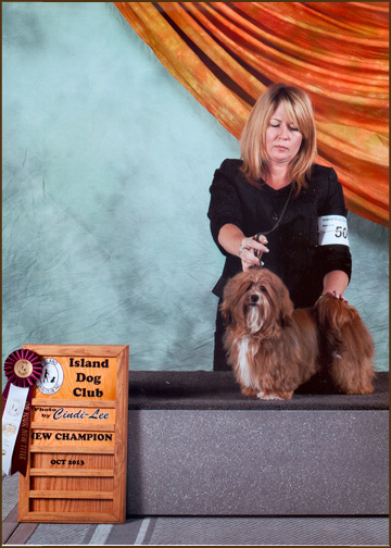 Welcome to the New Home of Rockhurst Havanese!